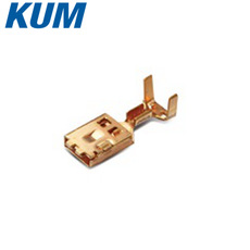 Wholesale KUM Connector TE015-00100 Manufacturer and Supplier | Buycon
